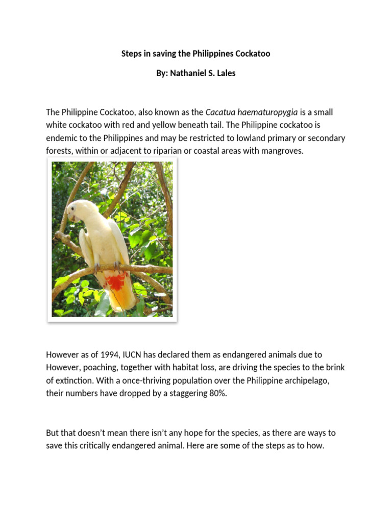 MODULE 8.2 (Philippine Cockatoo) | PDF | Ecology | Habitat