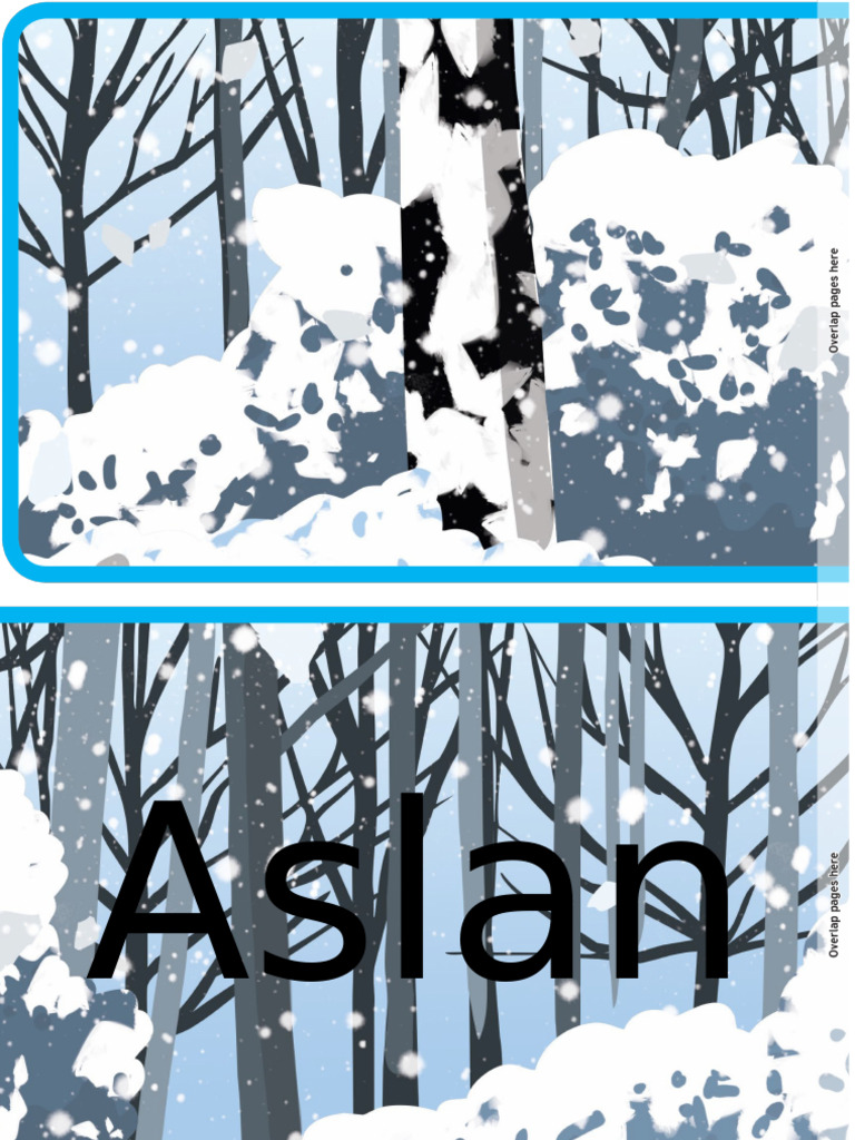 Aslan Banner | PDF