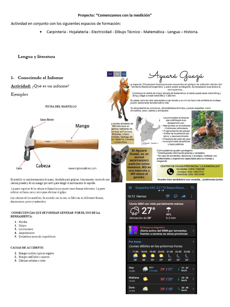 Proyecto Mediciones | PDF