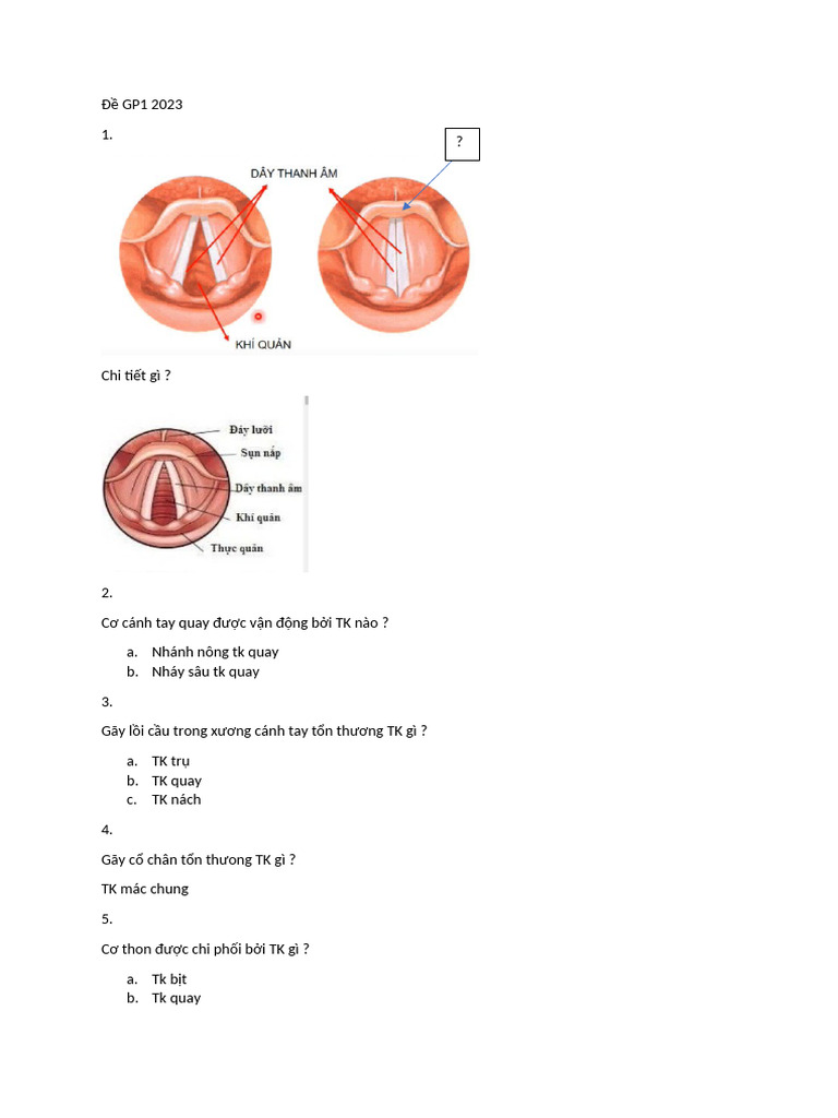 Đề GP1 2023 | PDF