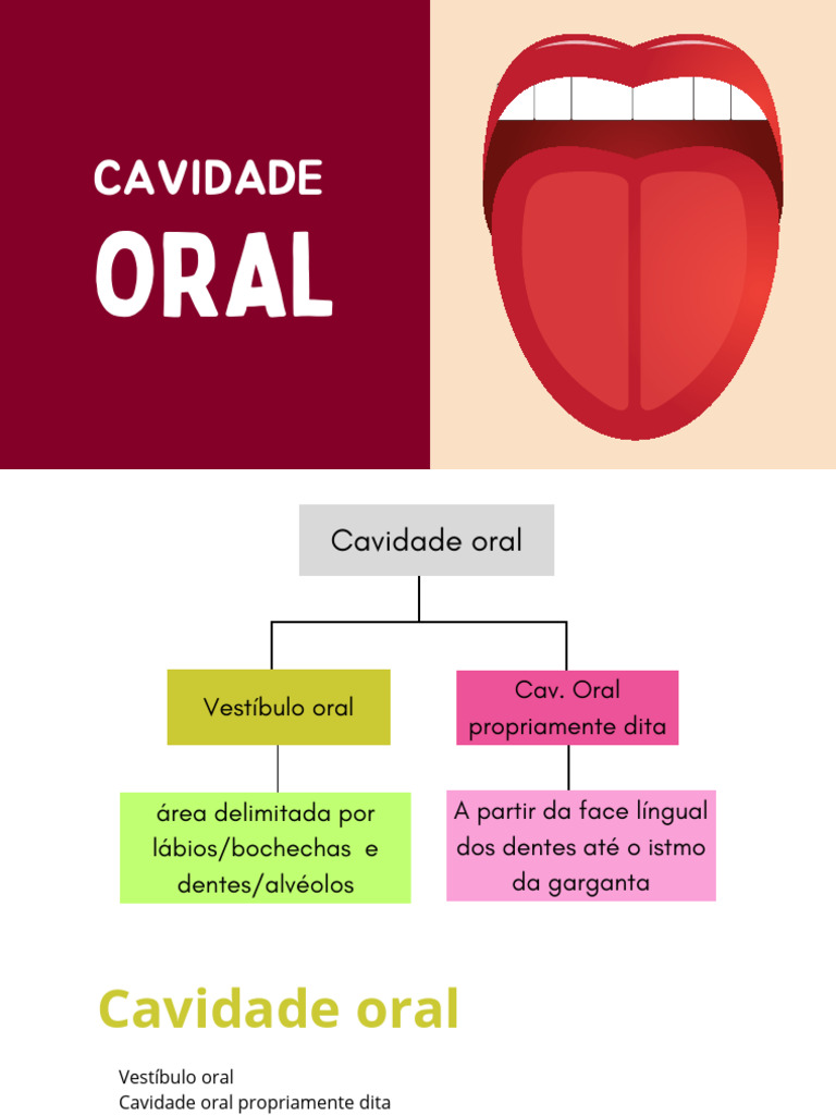 Estruturas da Cavidade Oral e Sulco Labiomarginal | PDF | Boca | Língua