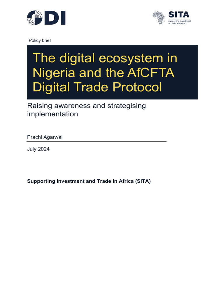 Nigeria's Digital Trade Protocol Insights | PDF | Nigeria | Exports