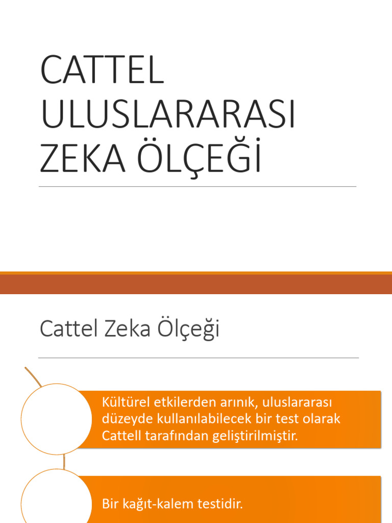 03 Cattel | PDF