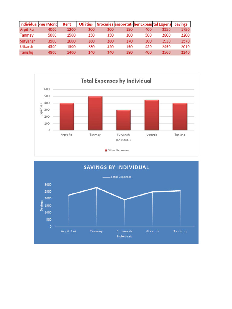 Total Expenses by Individual | PDF