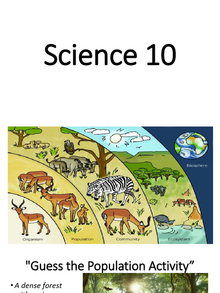 Ecosystem and Biodiversity 2024 2025 | PDF | Ecosystem | Biology