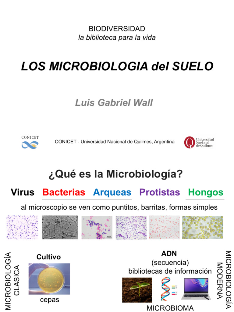 4.luis Wall (Microbiología Del Suelo) | PDF | Microbiología | Microorganismo