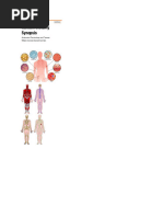 Human Anatomy Notes | PDF