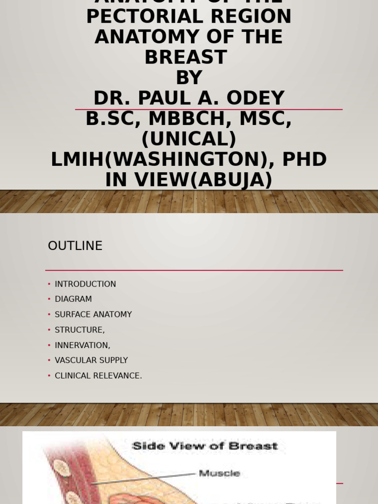 Breast Anatomy and Clinical Insights | PDF | Breast | Lymph