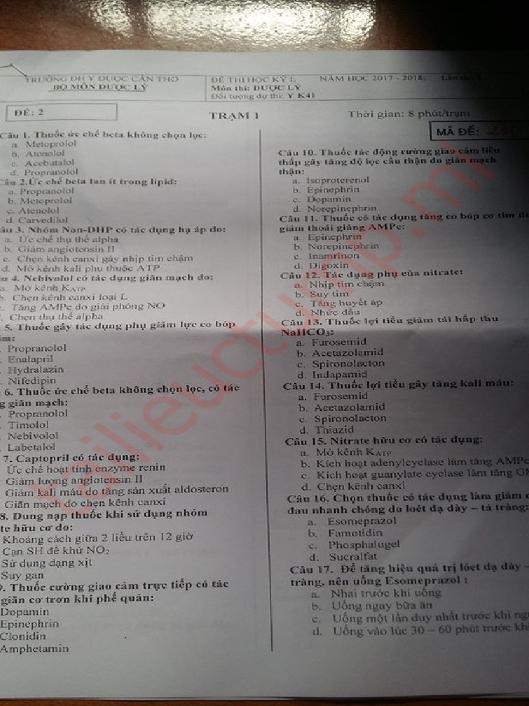Y41-Duocli Trang | PDF