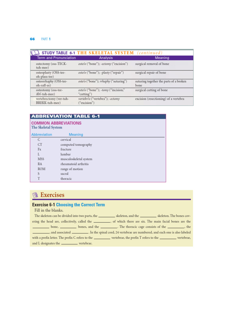 Skeletal System Abbreviations and Terms | PDF | Vertebral Column | Vertebra