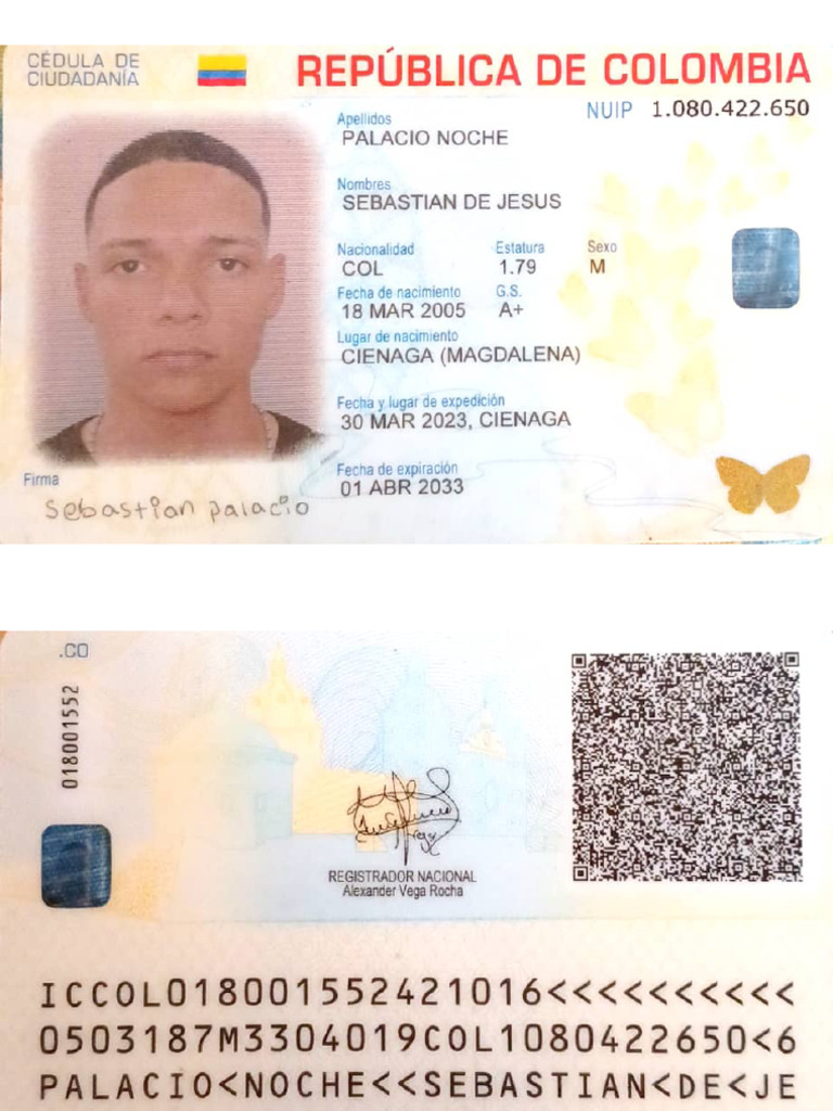 Cedula Sebastian | PDF