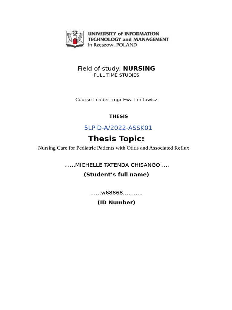 Michelle Chisango Diploma Seminar SIS | PDF