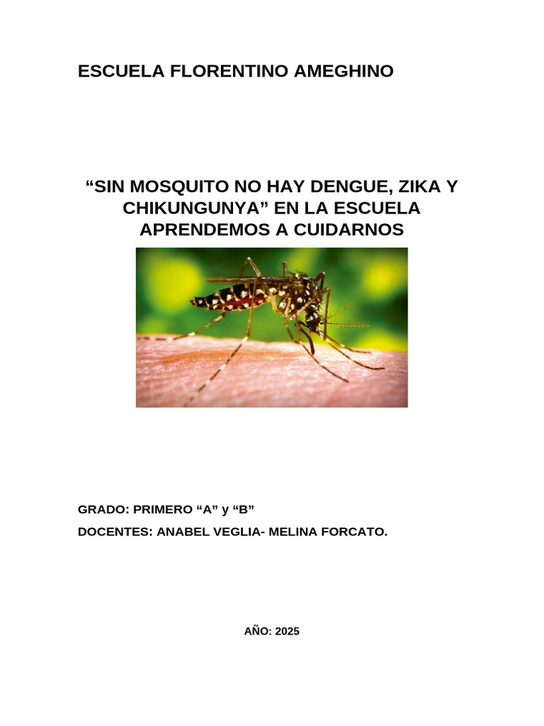 Primer Grado A y B Dengue 2025 | PDF