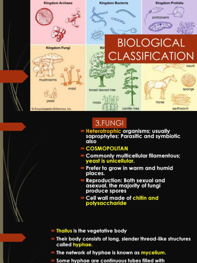 Biological Classification Vedha PT 2 Compressed | PDF