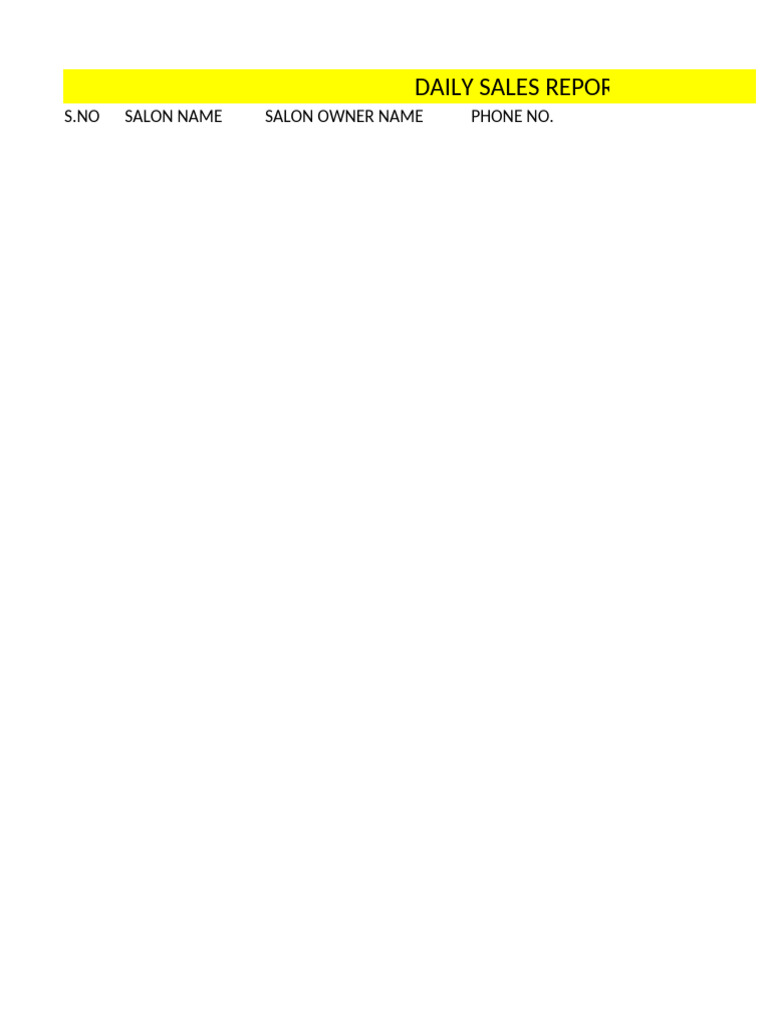 Daily Sales Report | PDF