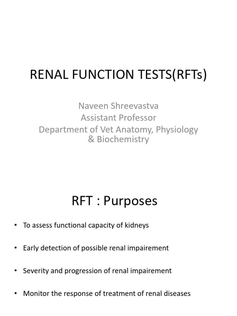Understanding Renal Function Tests (RFTs) | PDF | Creatinine | Kidney