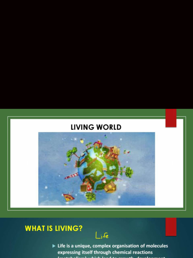 Living World | PDF