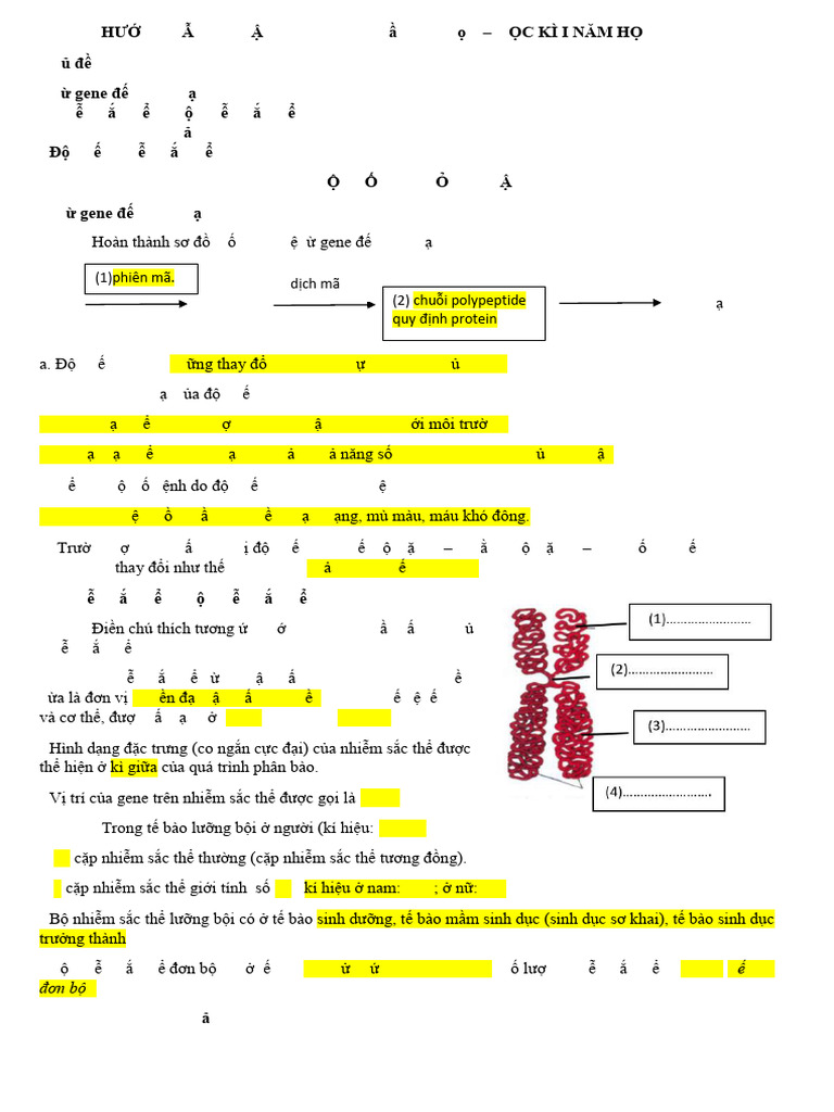 ĐA-Ôn-sinh-9IG-CKI-2425 (1) | PDF