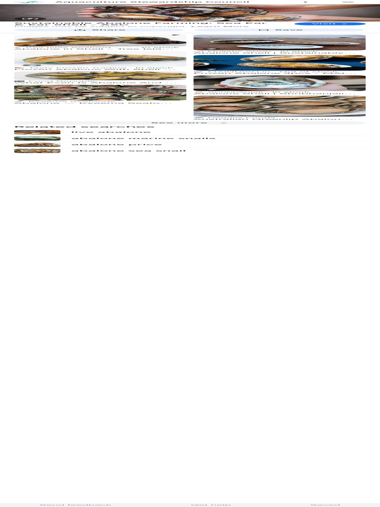 Abalone - Google Search | PDF