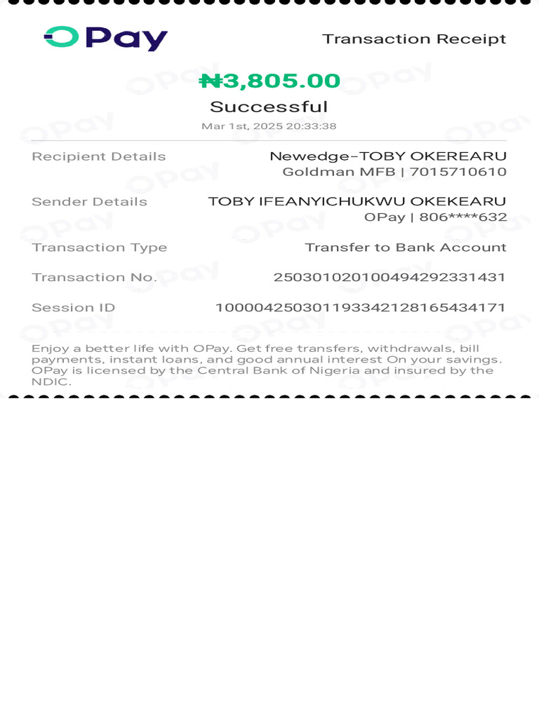 Successful OPay Transaction Receipt | PDF