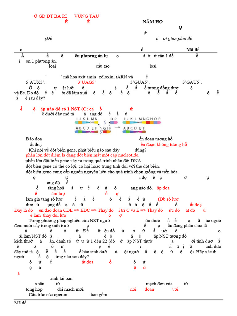 ĐÁP ÁN ĐỀ KT KS | PDF