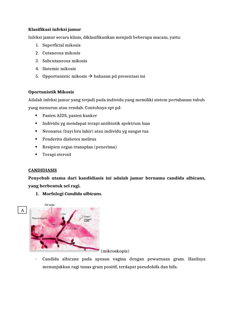 Catatan 2 Jamur | PDF