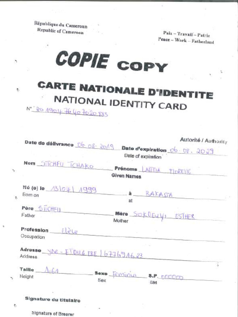 COPY CNI Compressed | PDF