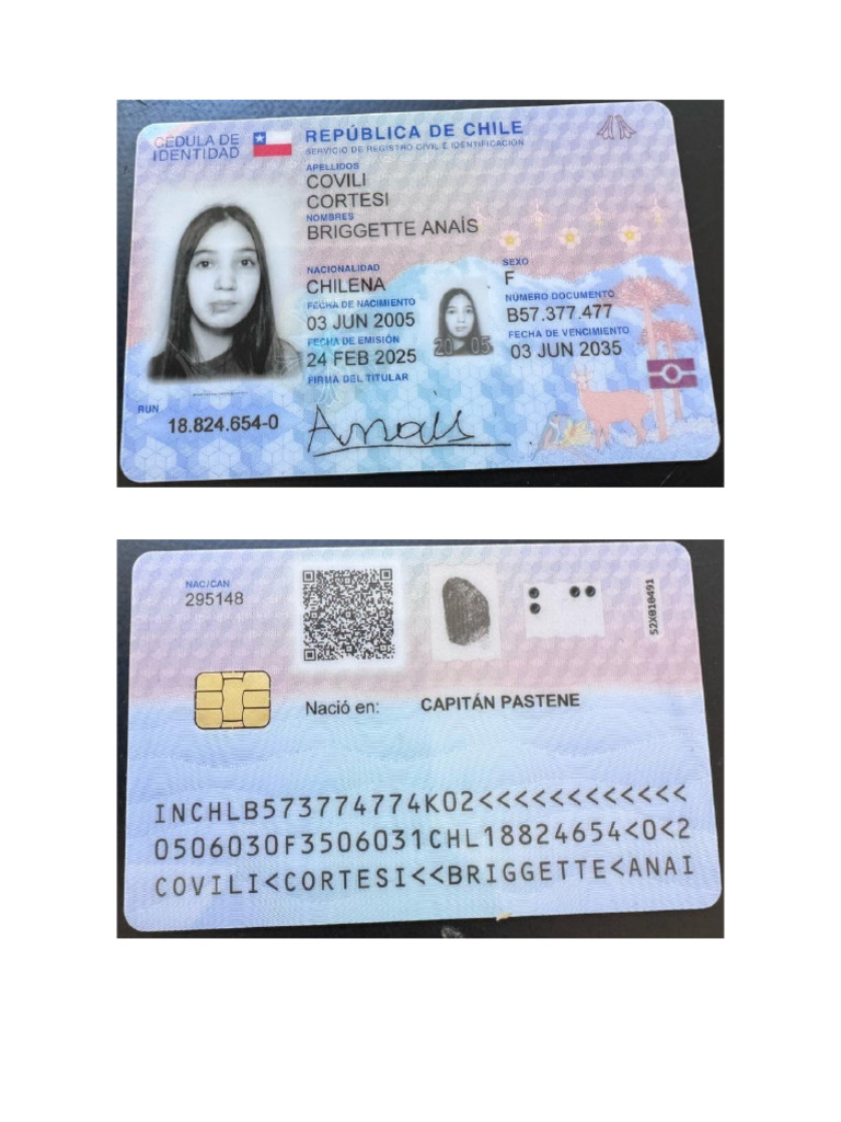 Carnet Briggette Completo Actualizado | PDF