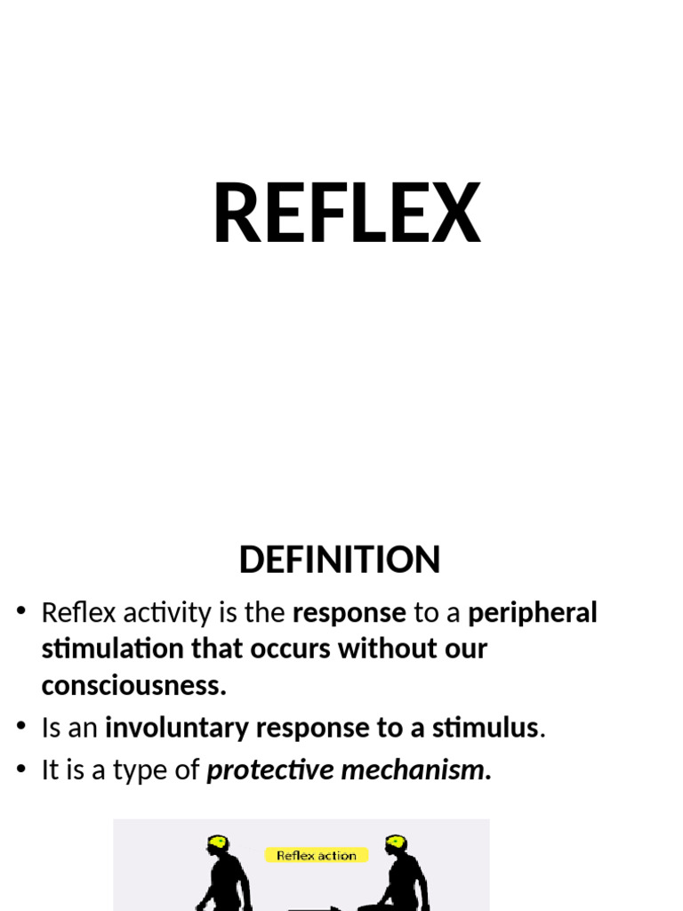 Reflexes 6 | PDF | Anatomical Terms Of Motion | Elbow