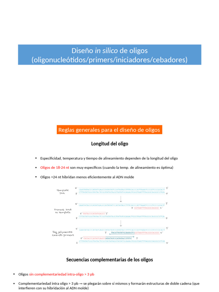 Diseño óptimo de oligos para PCR | PDF
