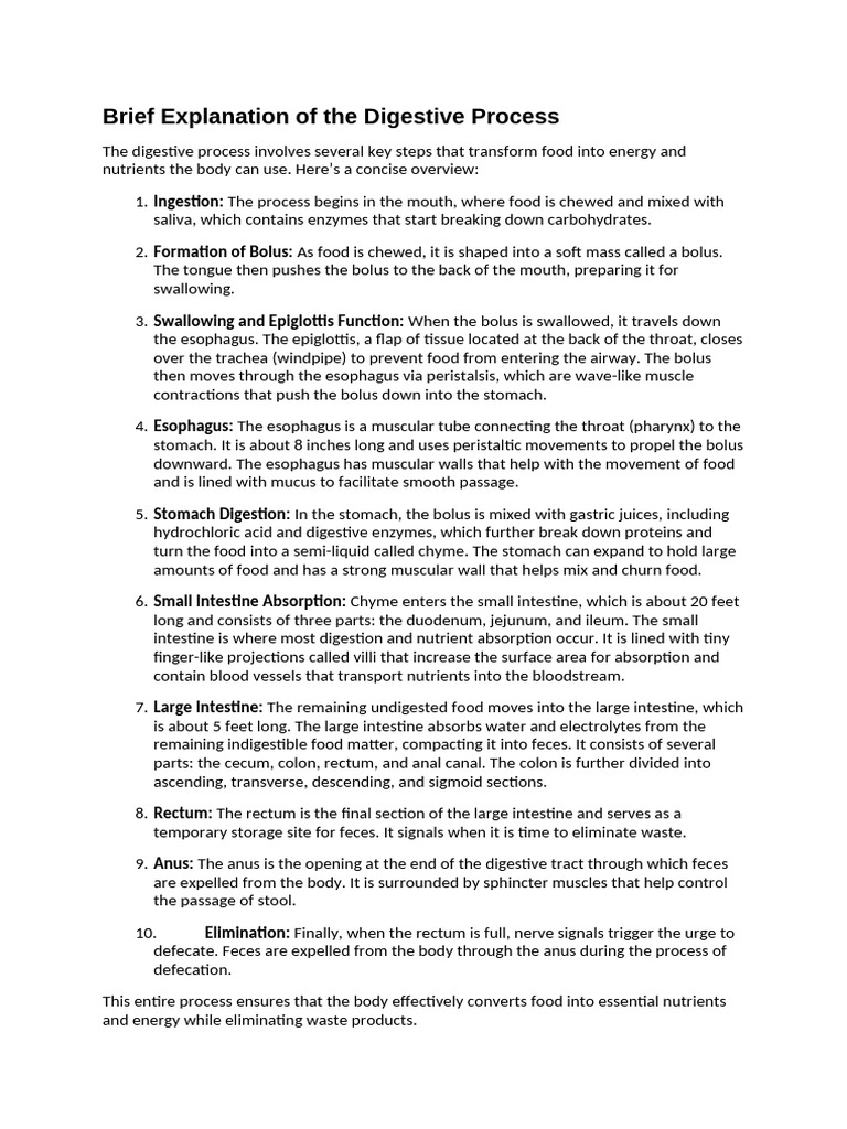 Digestive Process: 14 Steps Explained | PDF | Digestion | Human ...