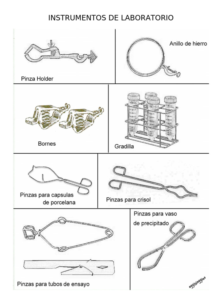 10 INSTRUMENTOS DE LABORATORIO | PDF