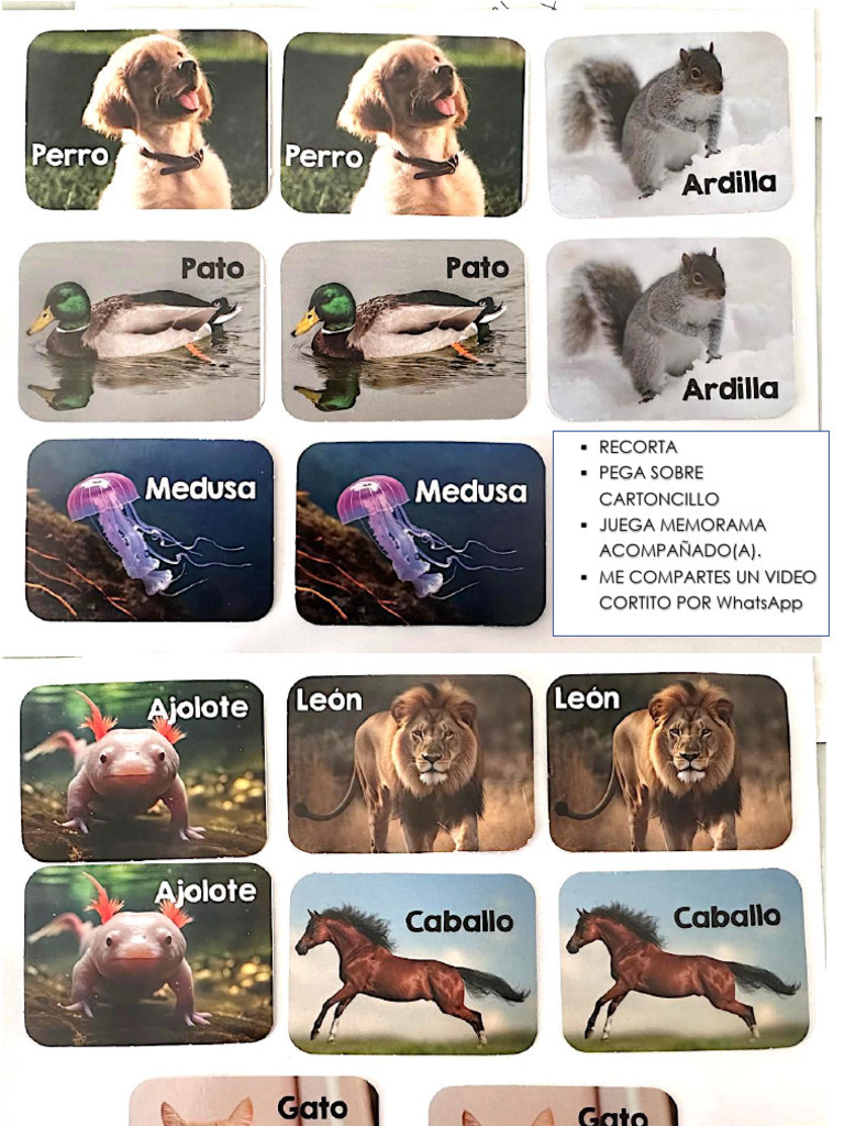 Memorama de Animales para Imprimir | PDF