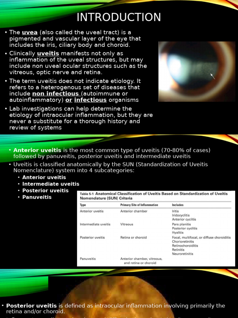 Understanding Posterior Uveitis Symptoms | PDF | Retina | Diseases And ...