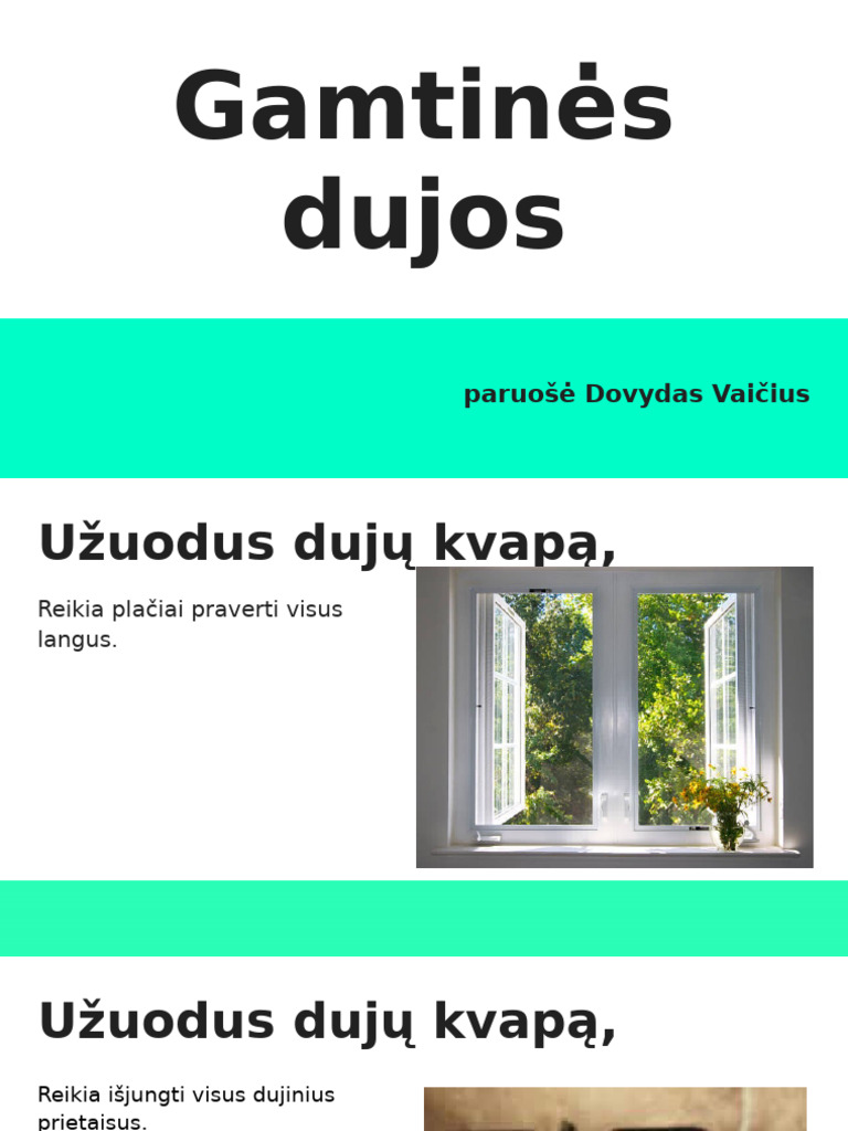 Gamtinės Dujos | PDF