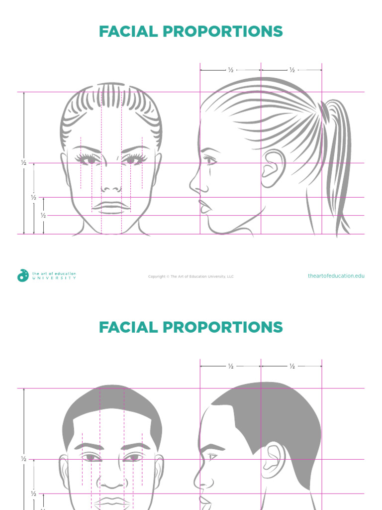 Understanding Facial Proportions | PDF