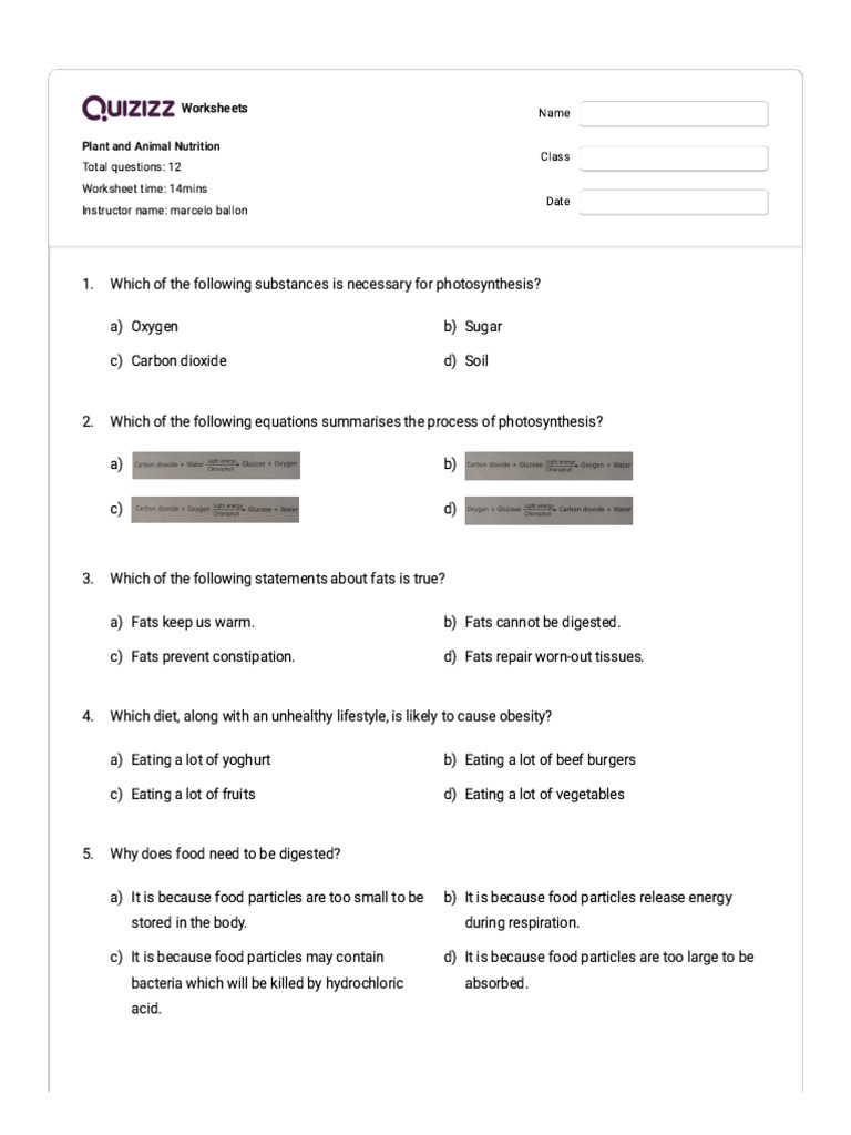 Plant and Animal Nutrition Worksheets | PDF | Digestion | Foods