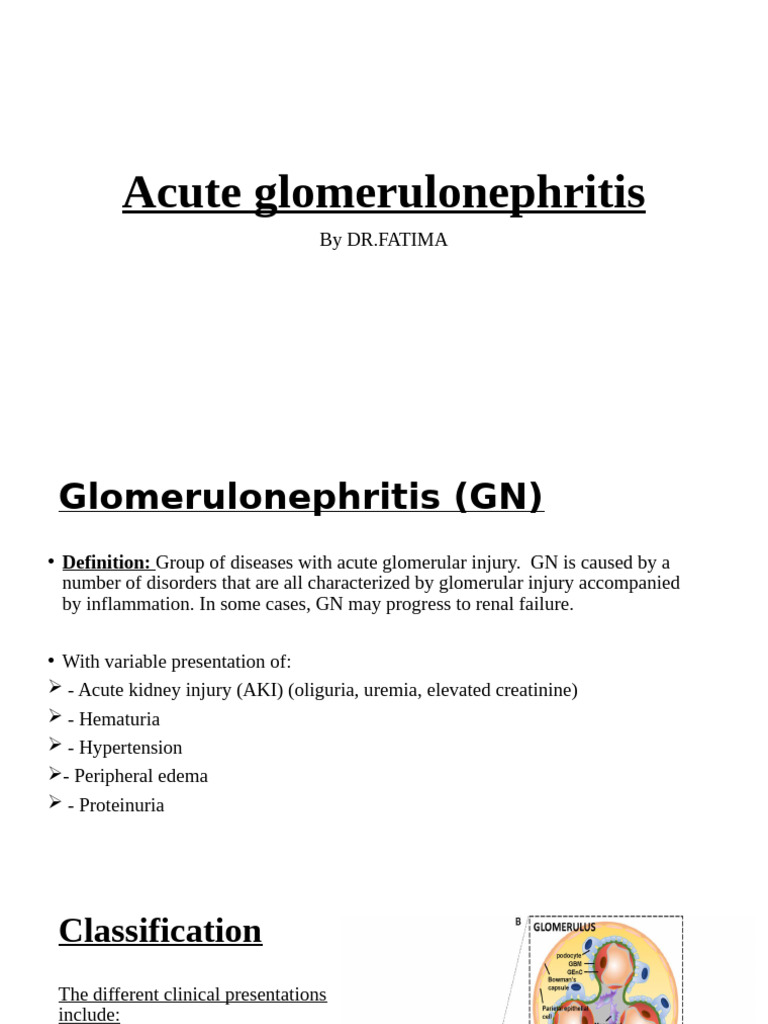 Understanding Acute Glomerulonephritis | PDF | Kidney | Nephrology