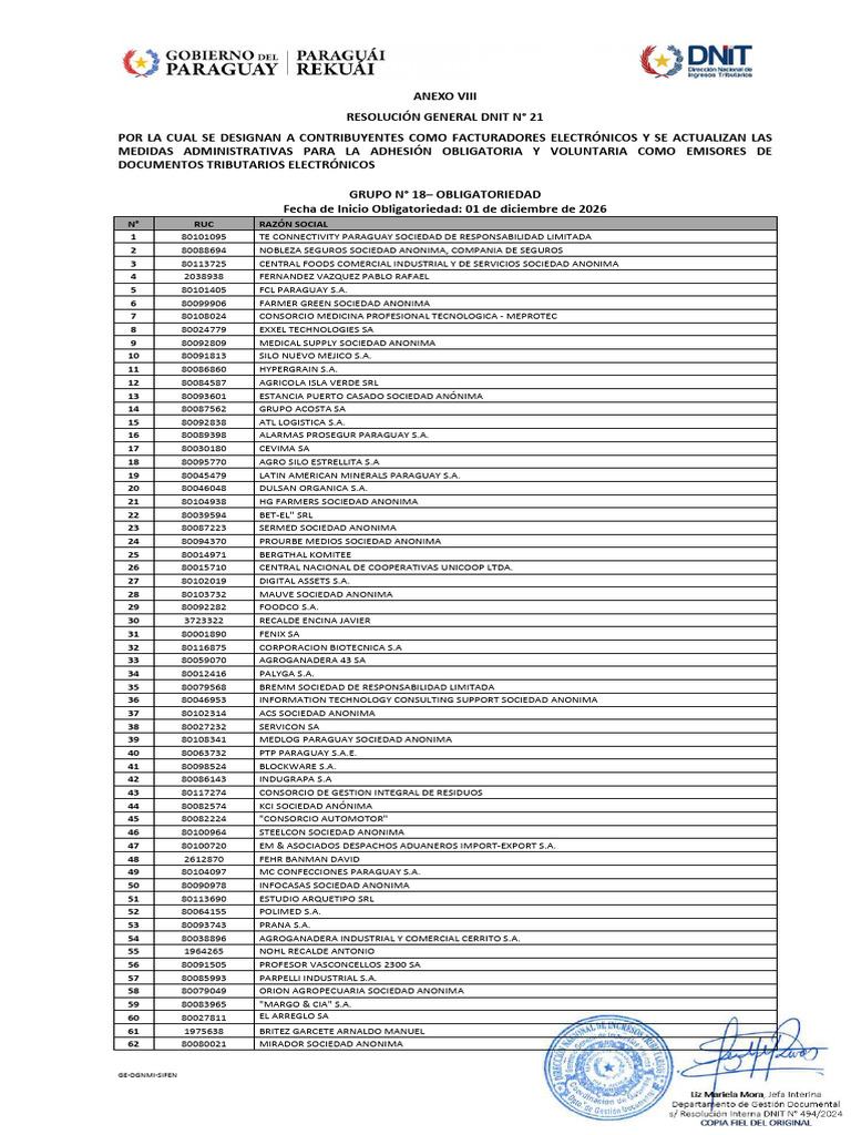 Facturadores Electrónicos DNIT 21/2024 | PDF | Corporaciones | Business