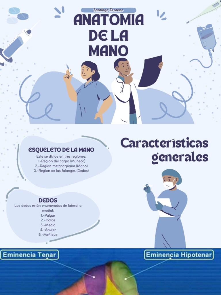 Anatomía y Funciones de la Mano | PDF | Mano | Extremidades (anatomía)
