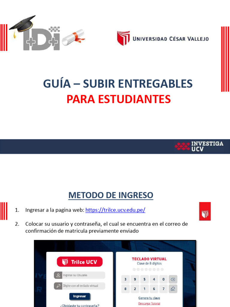GUÍA – SUBIR ENTREGABLES 2024 (3) | PDF