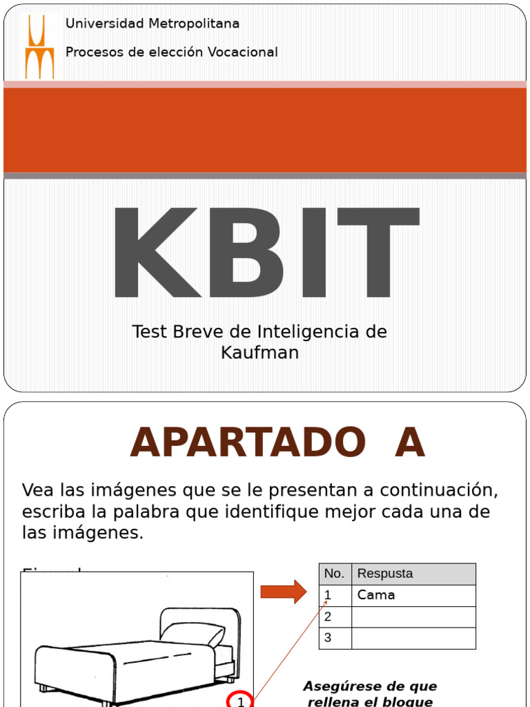 Kbit Virtual | PDF