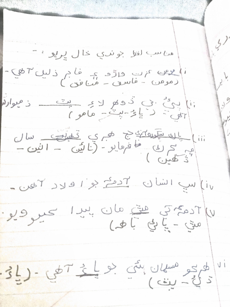 PDF 20250327 201706 | PDF