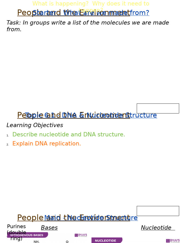 6.1 - Structure of Nucleic Acids and Replication of DNA | PDF