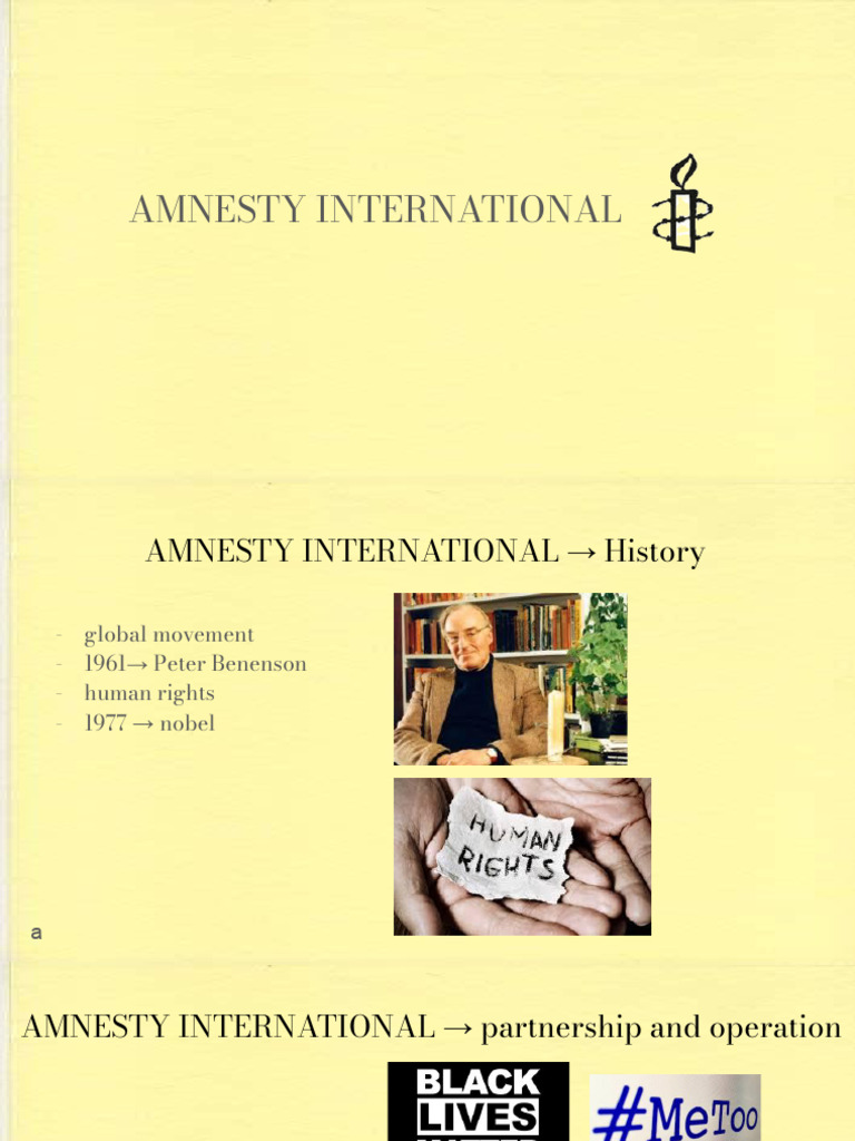 Amnesty | PDF