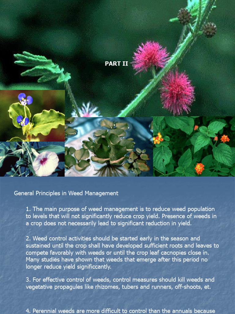 Weed Science II | PDF | Herbicide | Weed
