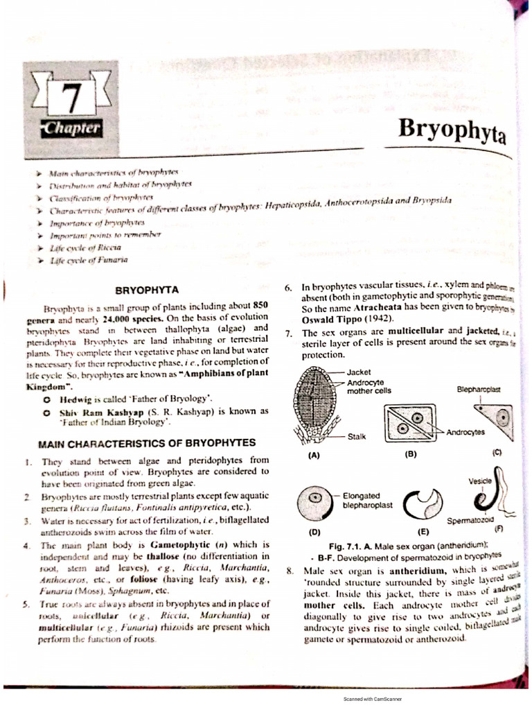 Kumar Malik Chapter 7 PDF | PDF