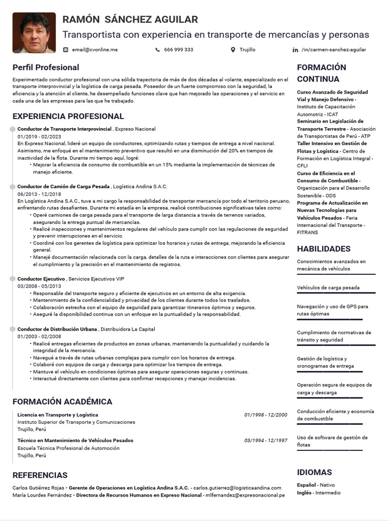 CV - Ramon Sanchez Aguilar | PDF | Logística | Transporte