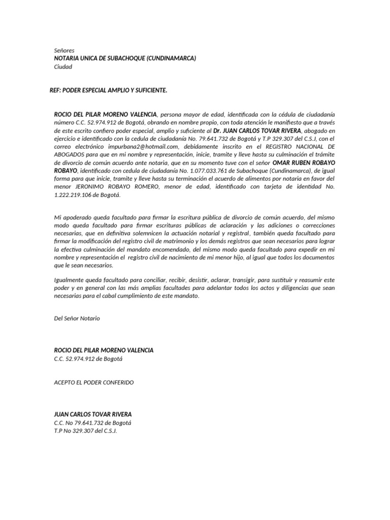 Poder Divorcio Pilar Moreno Mar 2025 | PDF