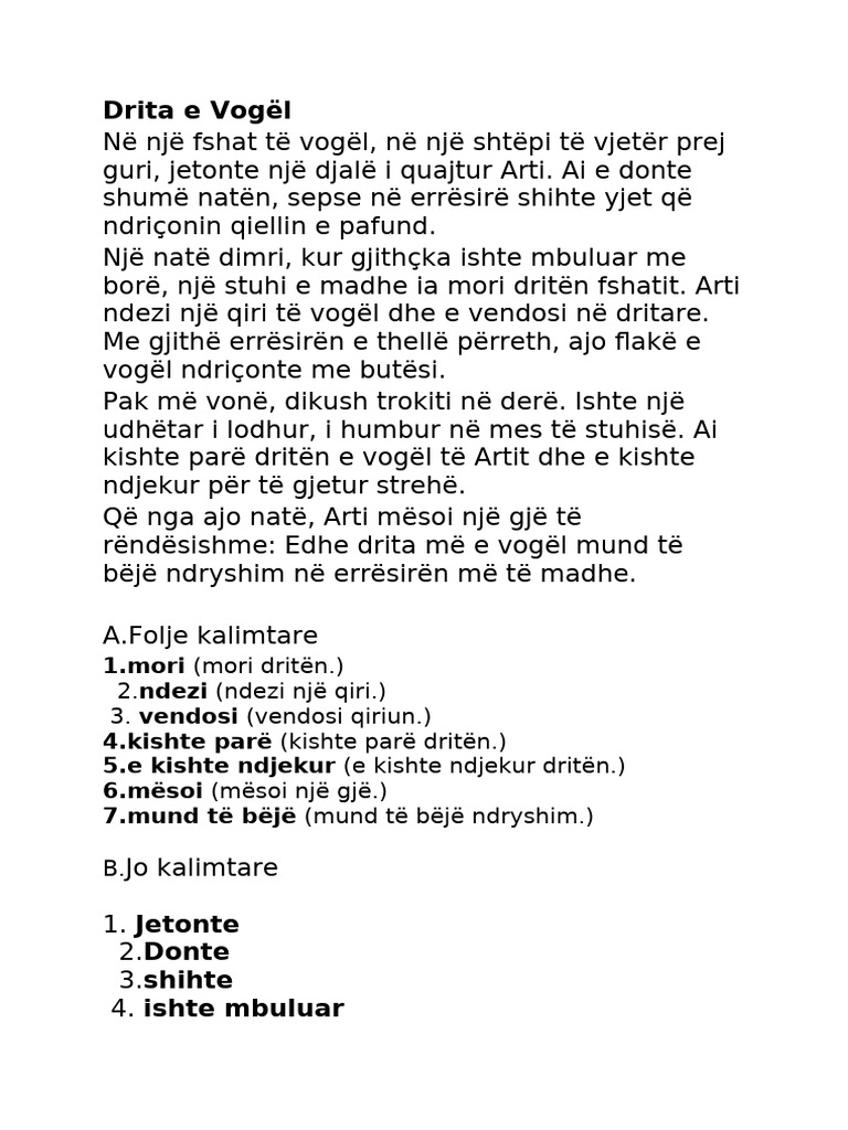 Detyra e Gjuhes | PDF